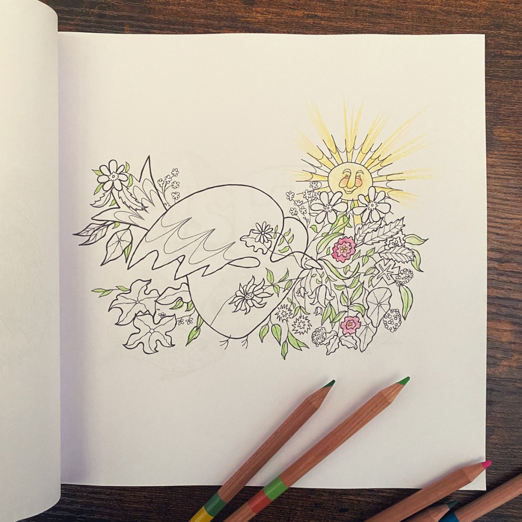 kate chesterton – freelance illustrator