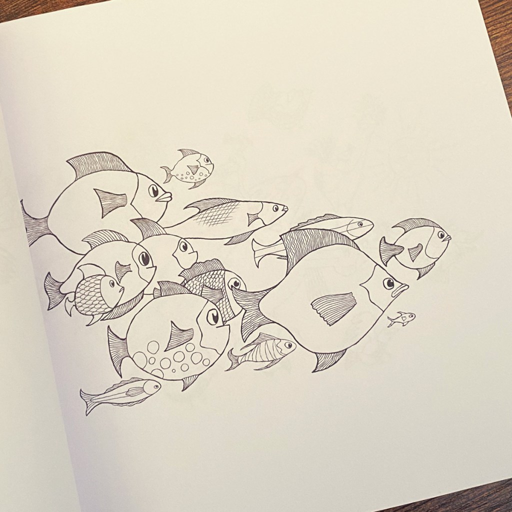 kate chesterton – freelance illustrator